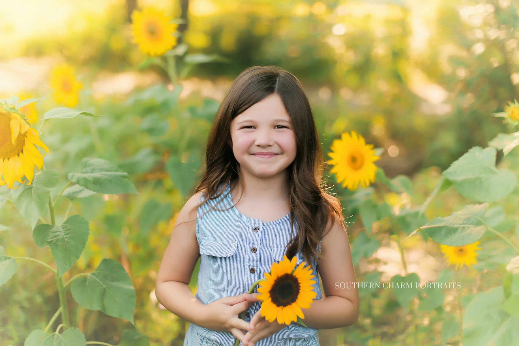 Elizabeth's Sunflower Mini Session - Photographer in West Knoxville, TN ...