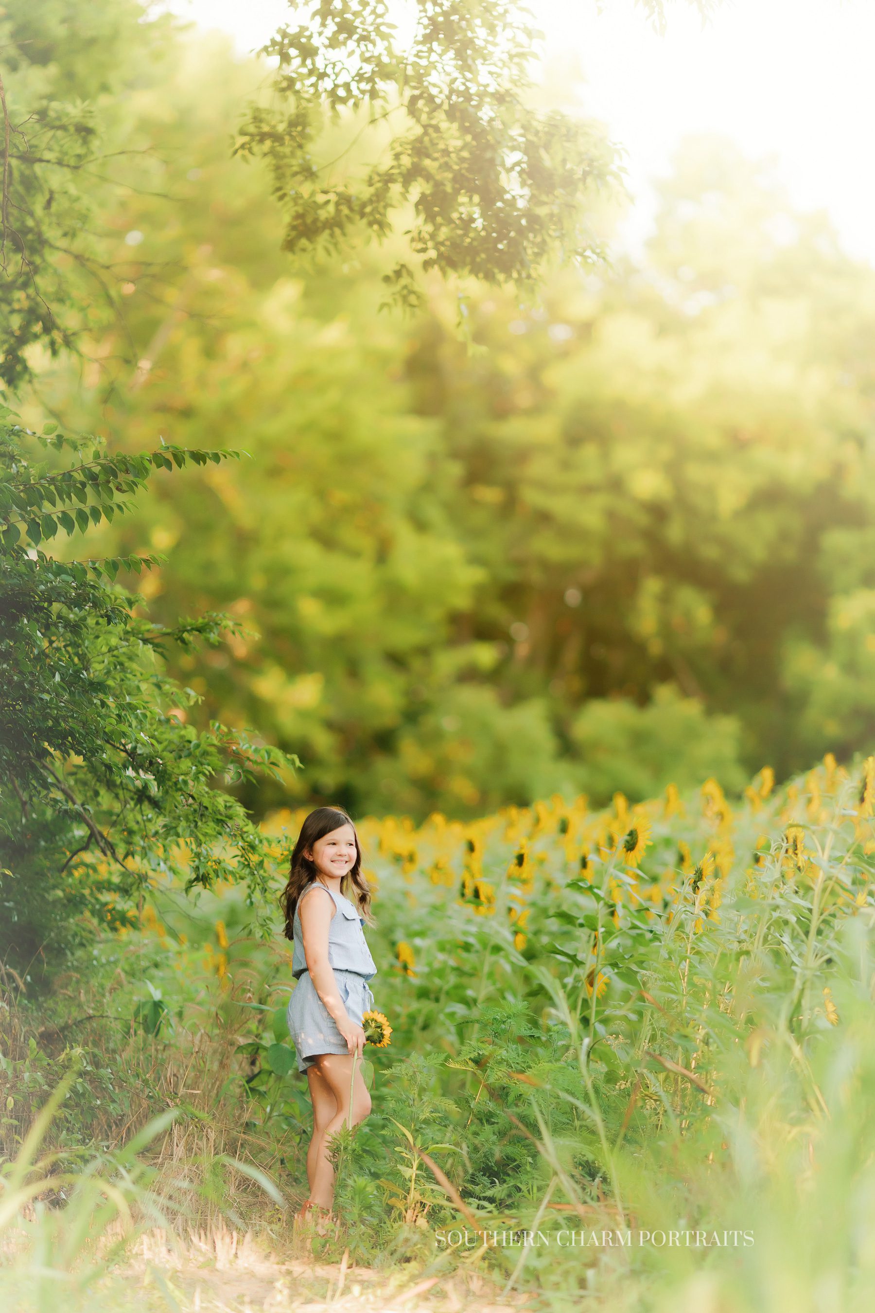 Elizabeth's Sunflower Mini Session - Photographer in West Knoxville, TN ...